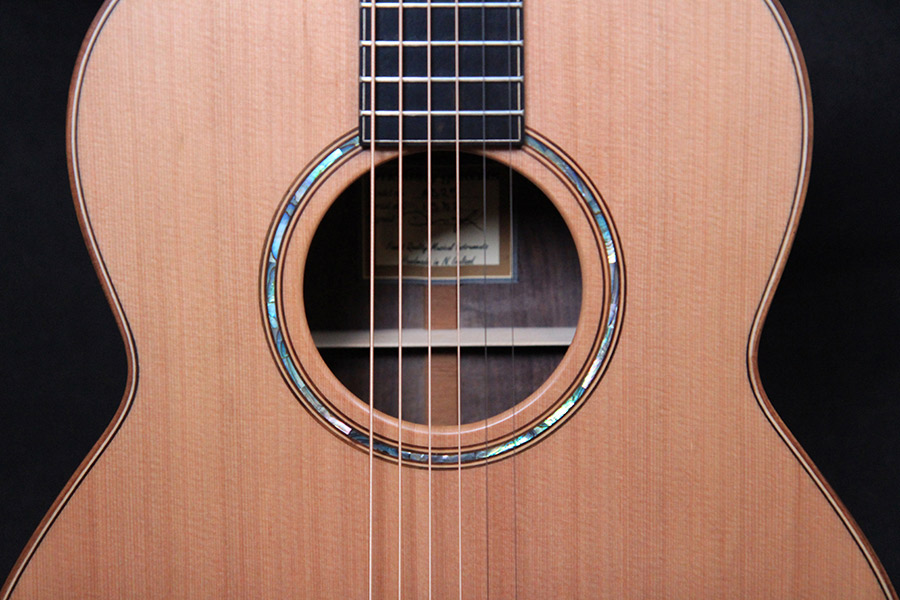 Paramount Guitars - Unique Handmade Guitars | Mcilroy AS25