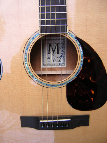 Paramount Guitars: Instrument detail, Morgan OMM